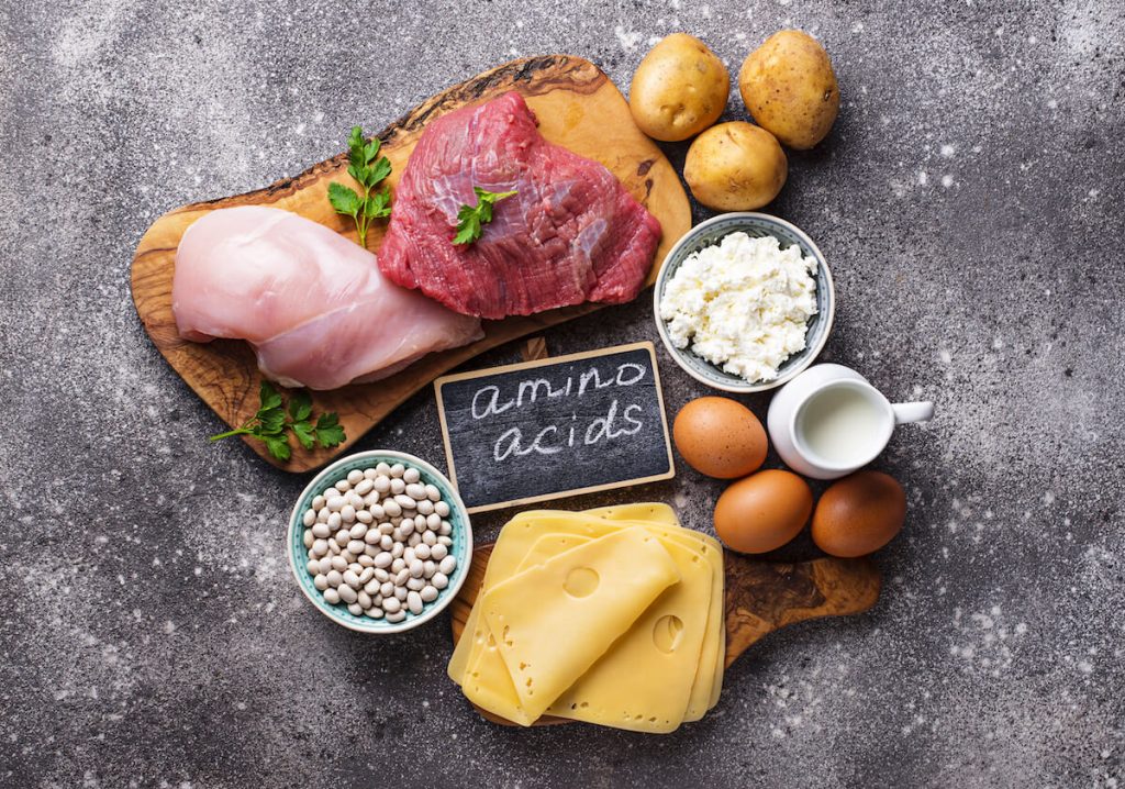 How to Choose the Best Protein for Seniors: Tips and Insight