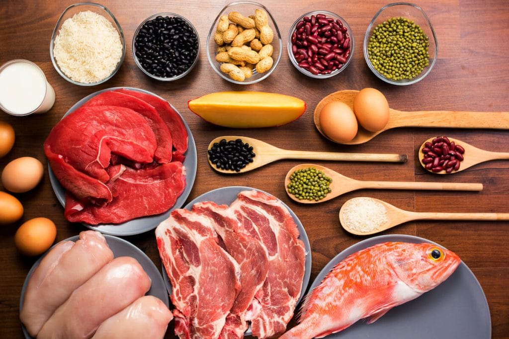Different Types of Protein: Complete vs. Incomplete